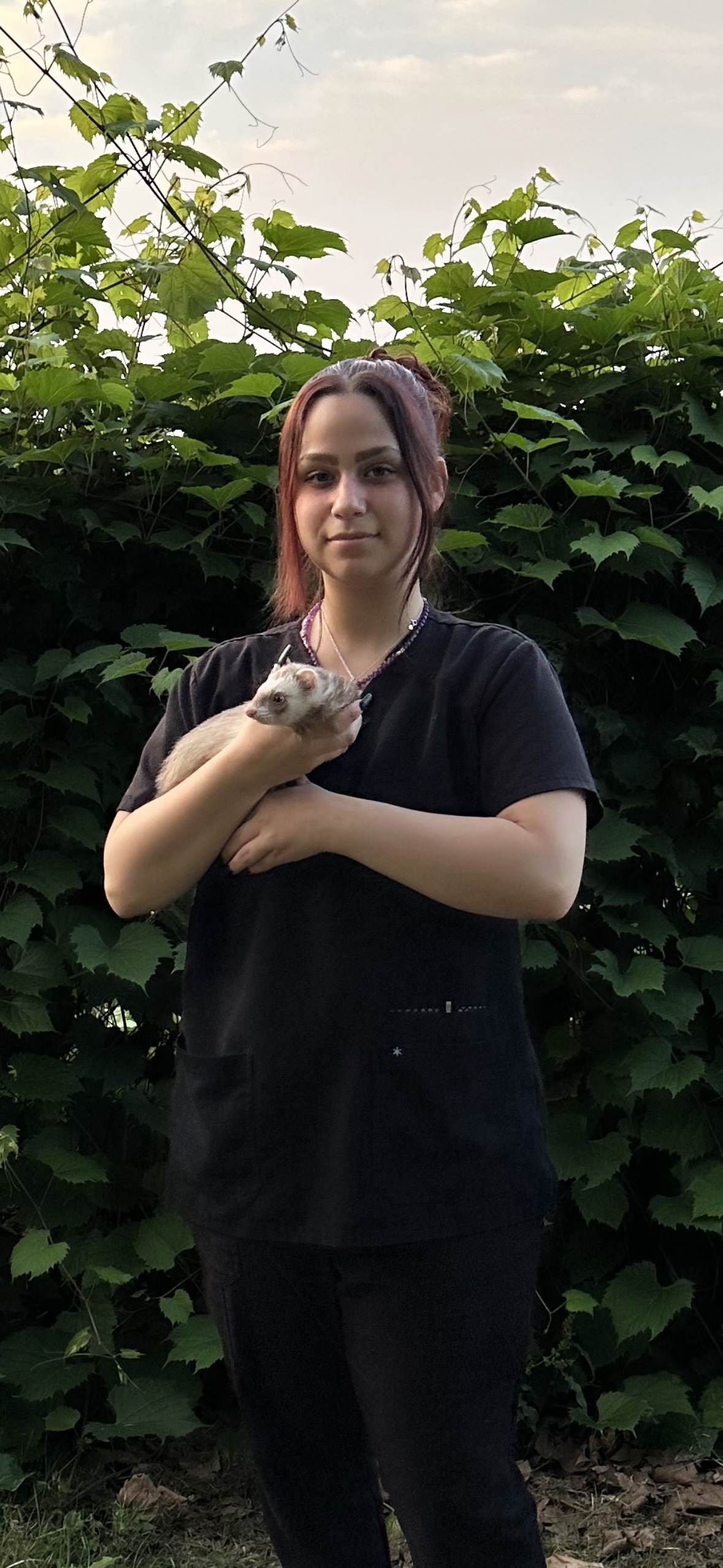 Meet The Village Vet Staff - The Village Vet